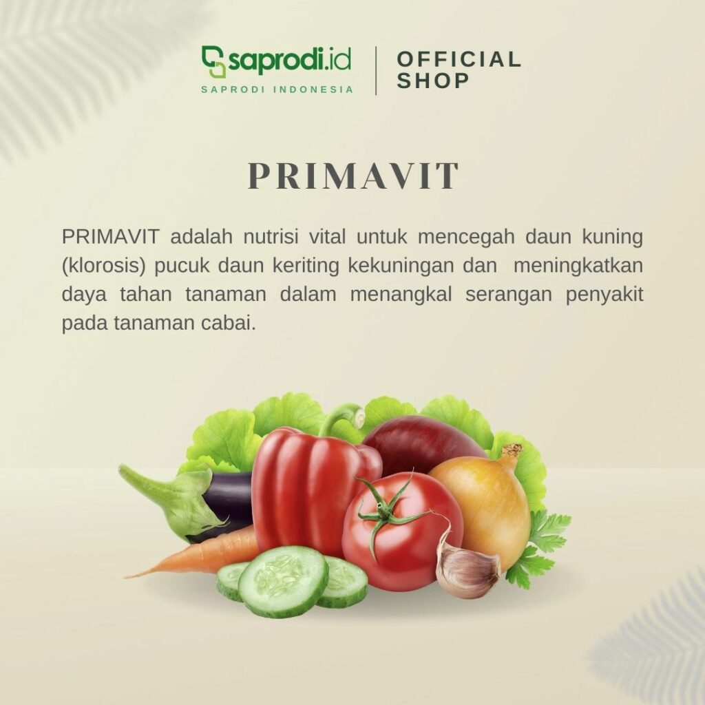 Pupuk Arsip – Saprodi Indonesia