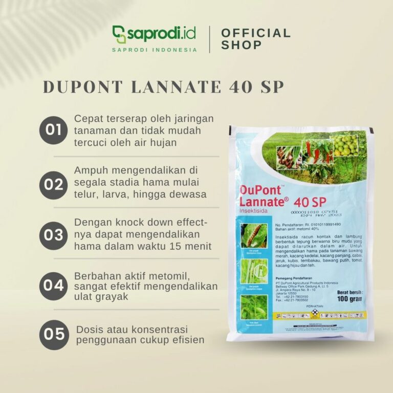 Dupont - LANNATE 40 SP Insektisida Racun Kontak dan Lambung - 100 gram ...