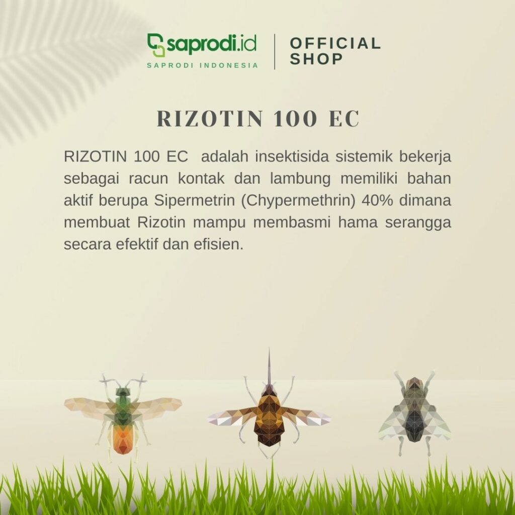 BASF - REGENT 50SC Insektisida Sistemik Racun Kontak dan Lambung - 50 ...