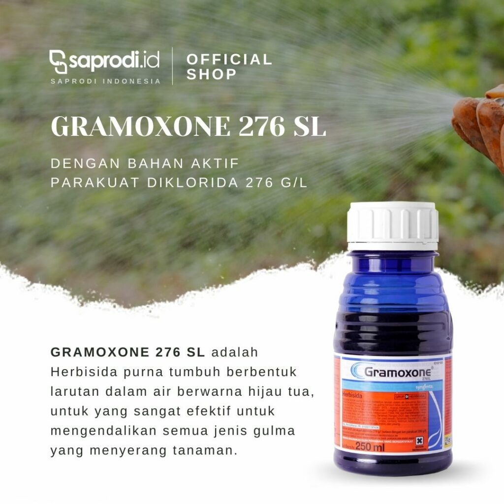 Syngenta - GRAMOXONE 276 SL Herbisida Kontak Non Selektif - 250 ml ...