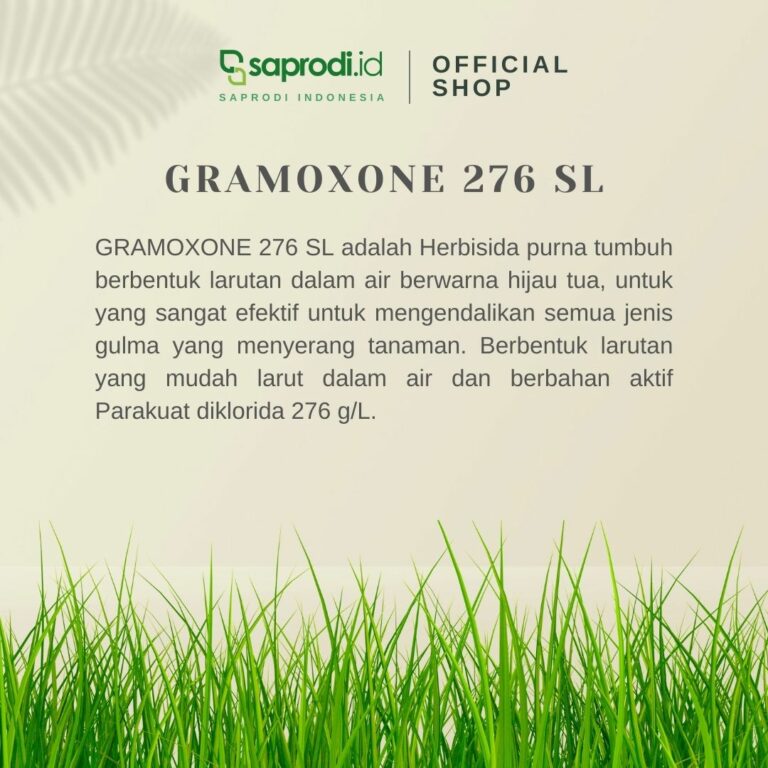 Syngenta - GRAMOXONE 276 SL Herbisida Kontak Non Selektif - 1 liter ...