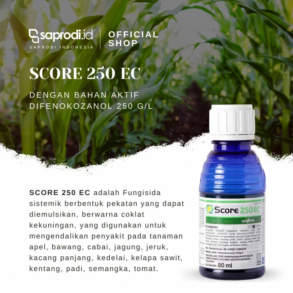 Syngenta - SCORE 250 EC Fungisida Sistemik + ZPT - 80 ml – Saprodi ...