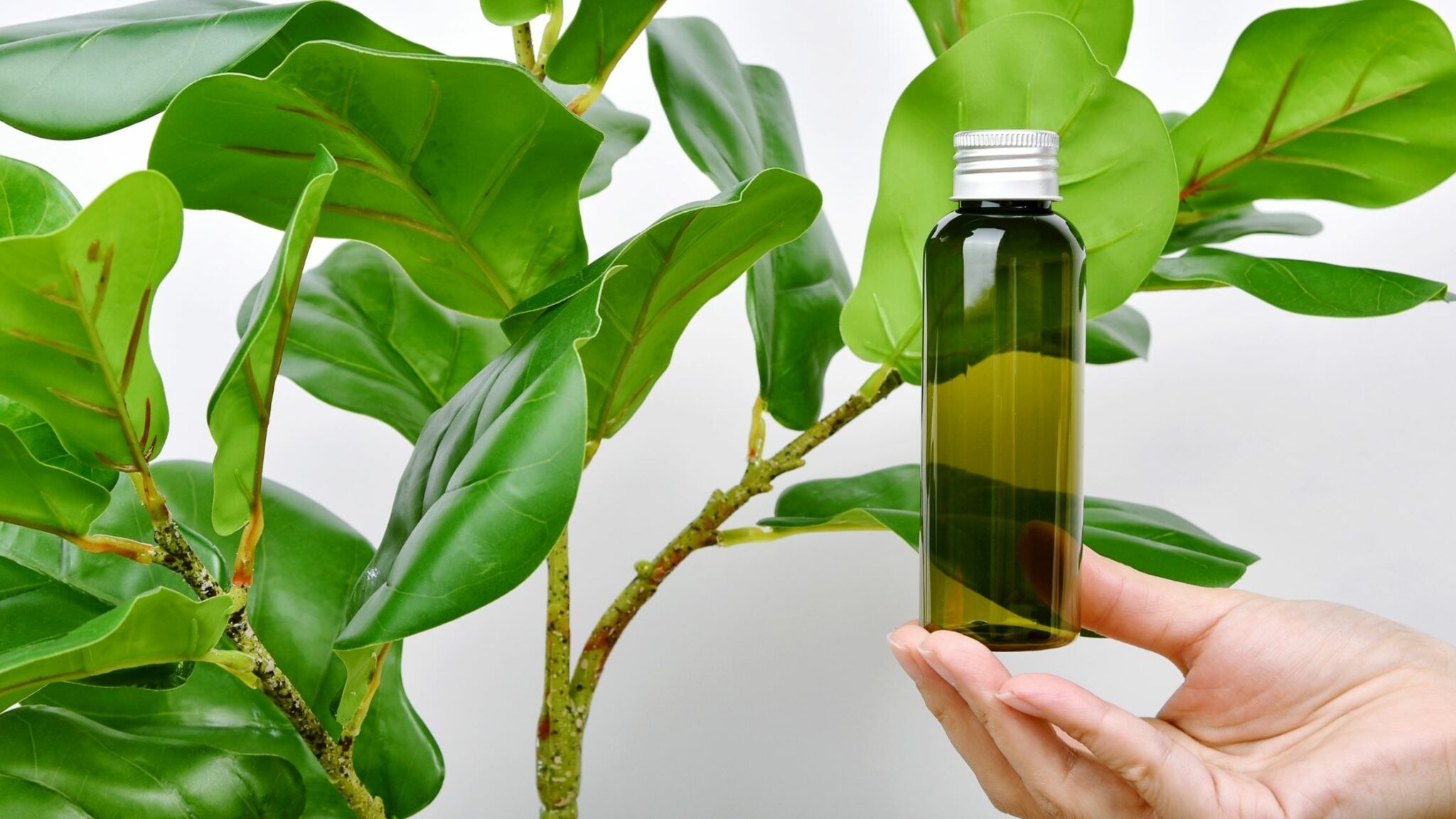 Zat Pengatur Tumbuh - Homecare24