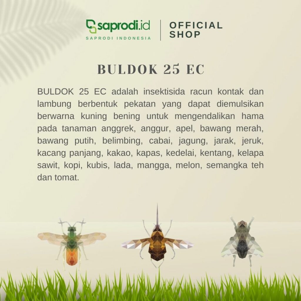 Bayer - BULDOK 25EC Insektisida Racun Kontak dan Lambung - 250 ml ...