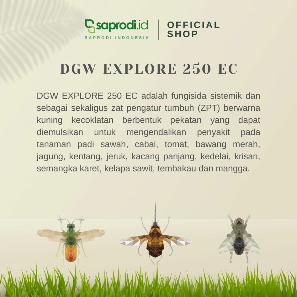 DGW - EXPLORE 250EC Fungisida Sistemik + ZPT - 250 ml – Saprodi Indonesia