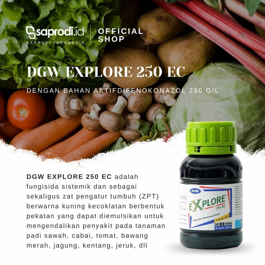 DGW - EXPLORE 250 EC Fungisida Sistemik + ZPT - 250 ml – Saprodi Indonesia