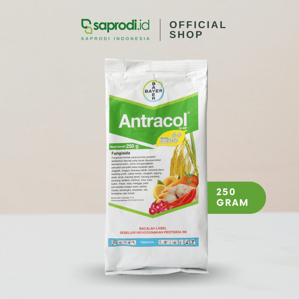 Bayer - ANTRACOL 70WP + ZINC Fungisida Kontak - 500 gram – Saprodi ...