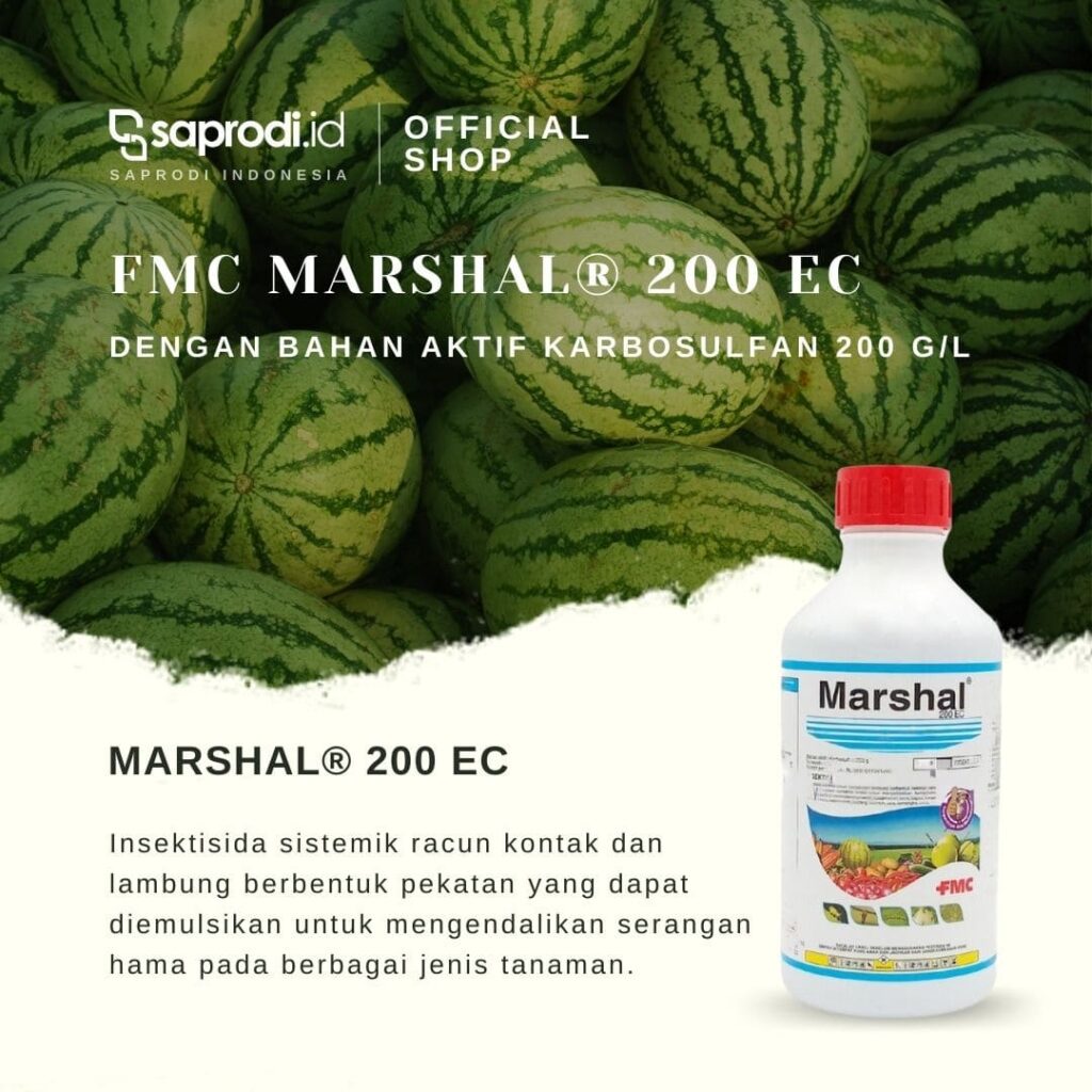 FMC - Insektisida Marshal® 200 EC - 1 liter – Saprodi Indonesia