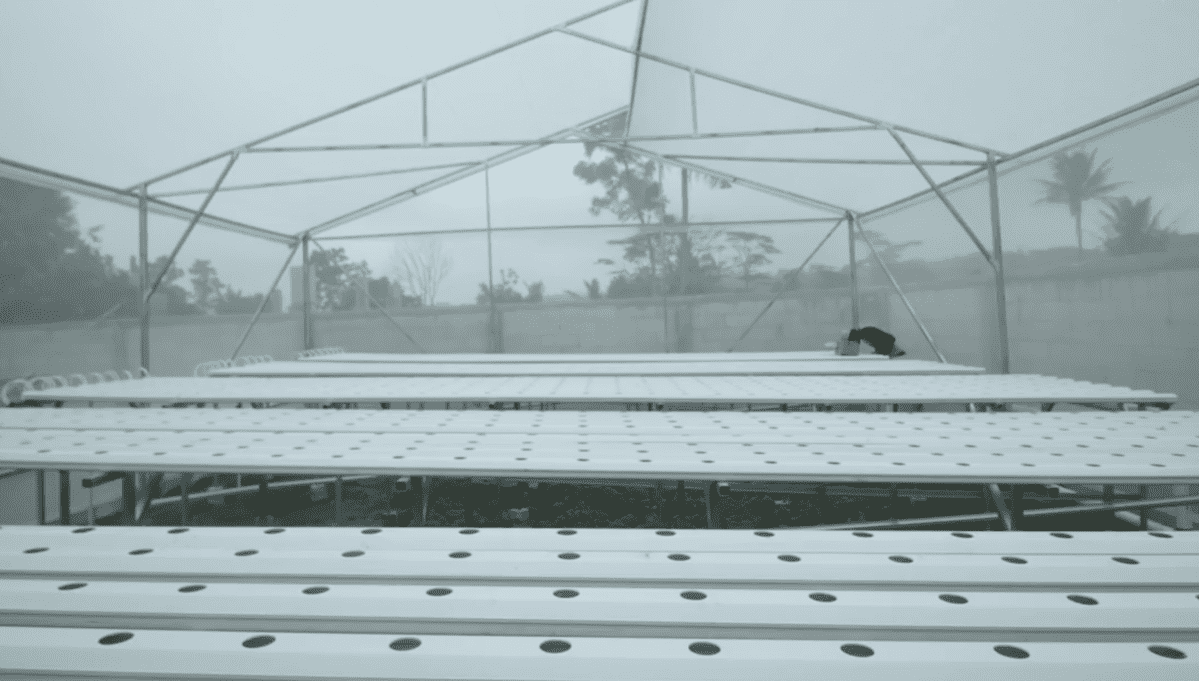 Jasa Pembuatan Greenhouse – Saprodi Indonesia