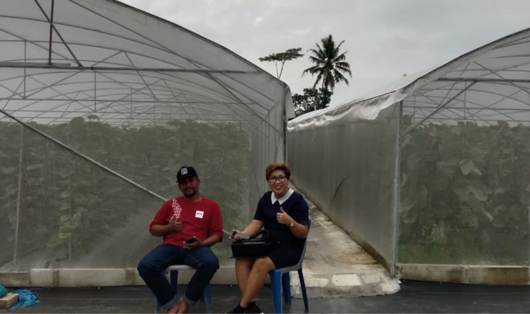 Jasa Pembuatan Greenhouse – Saprodi Indonesia