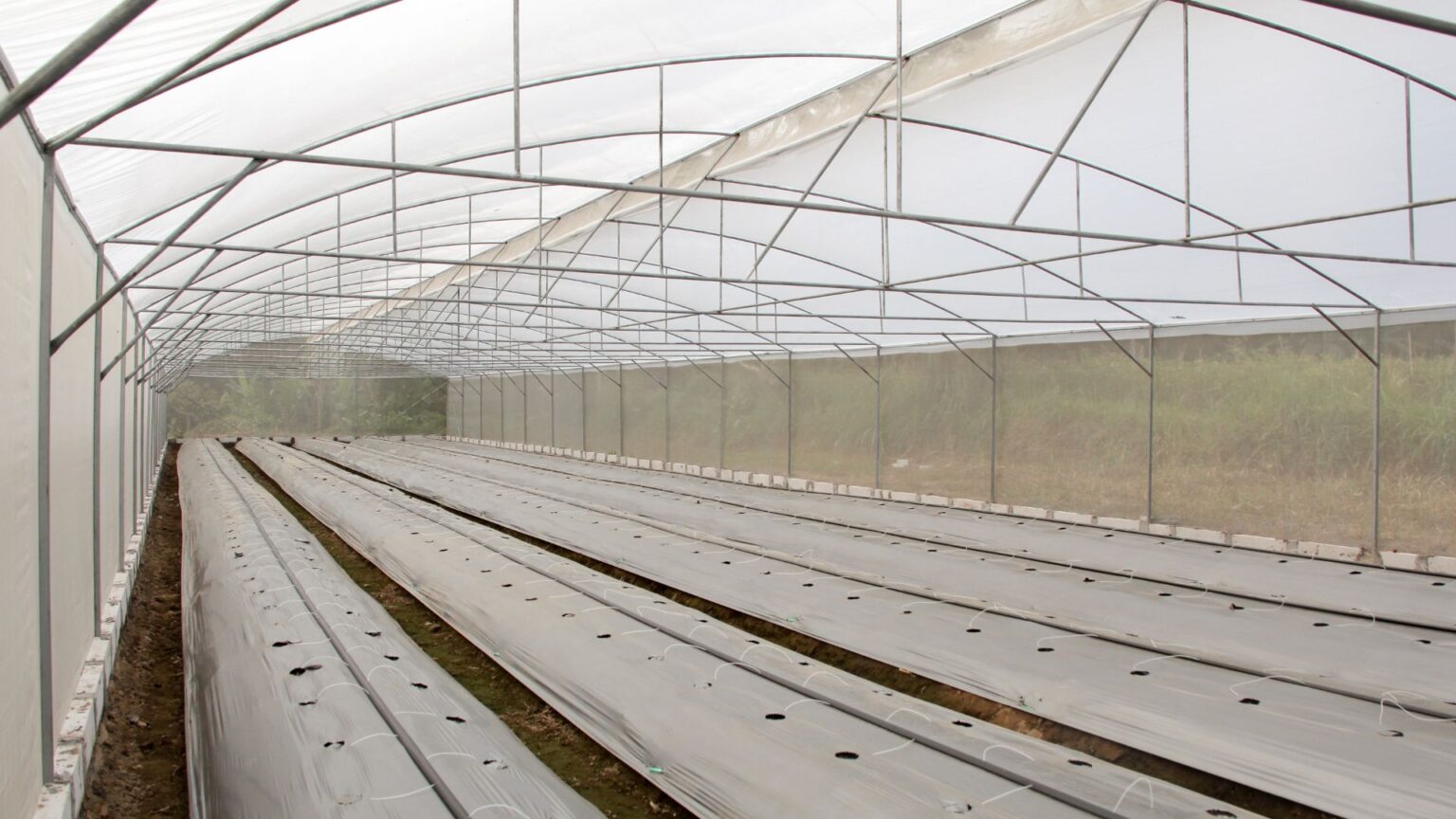 Jasa Pembuatan Greenhouse – Saprodi Indonesia