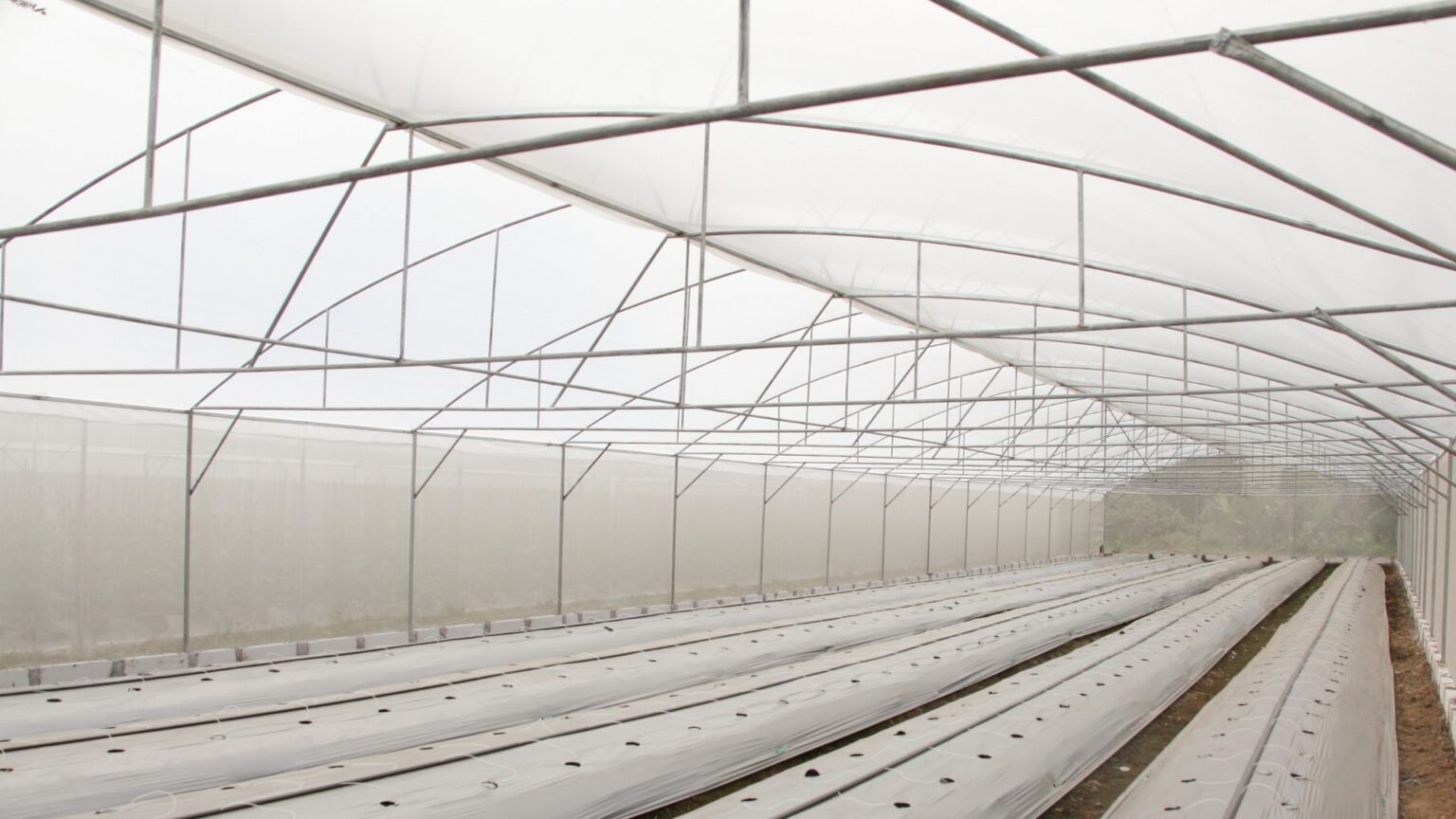 Jasa Pembuatan Greenhouse – Saprodi Indonesia