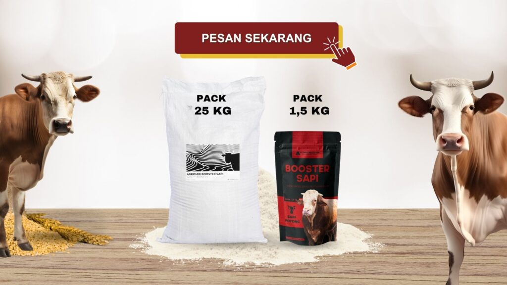 Aditif Pakan Sapi: Pengertian dan Manfaatnya untuk Ternak Sapi – Saprodi Indonesia